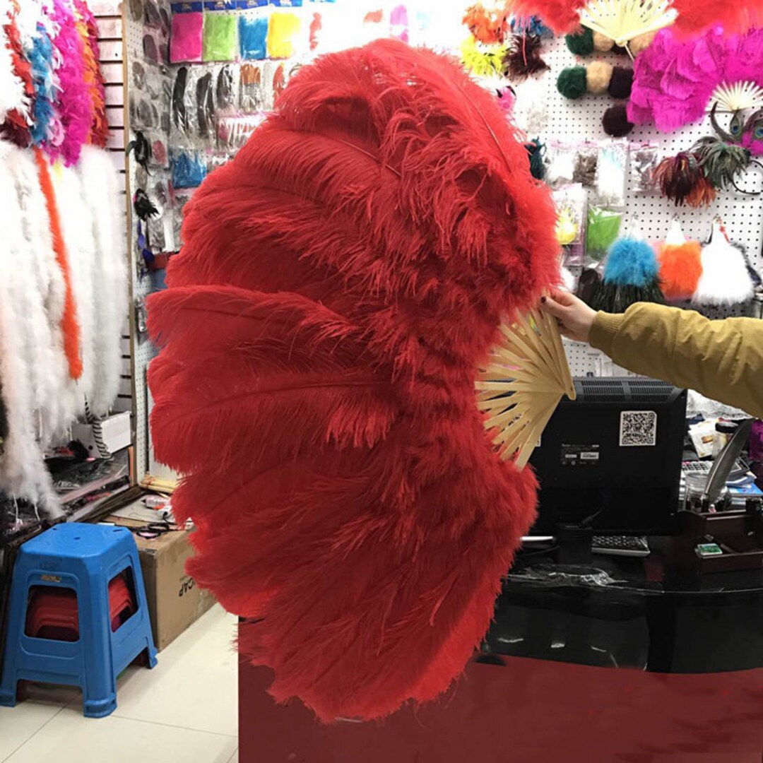 Feather Fan Dance Costume Set - Etsy