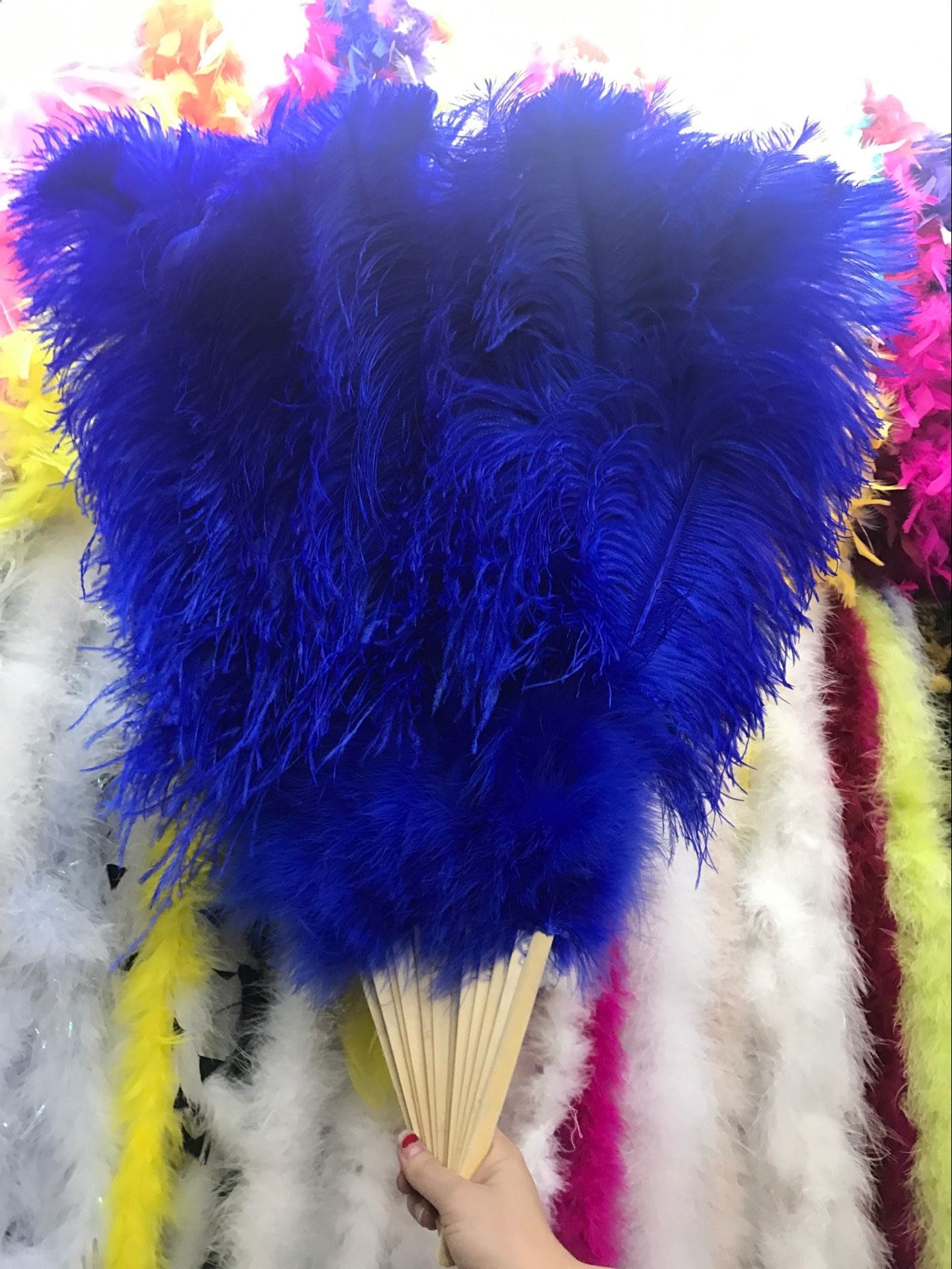 Feather Fan Dance Costume Set - Etsy