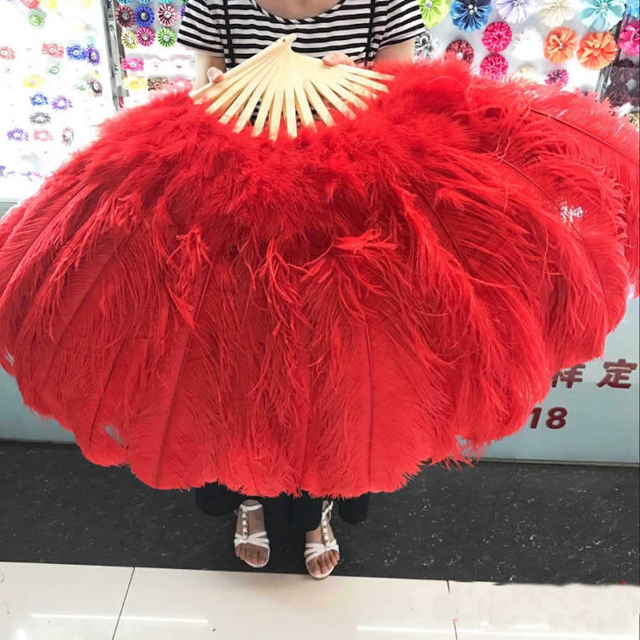 FeatherDanceCostume - Etsy