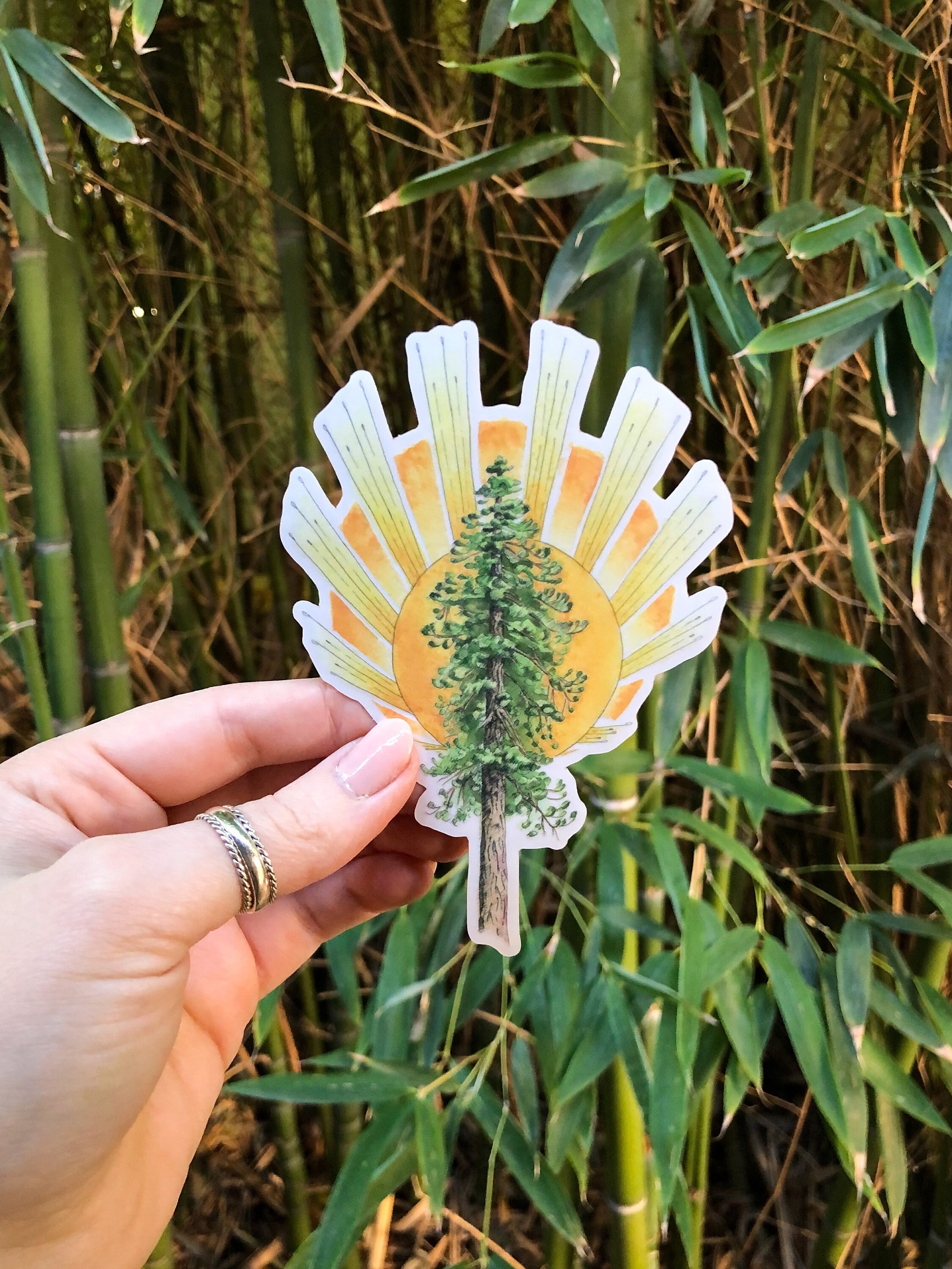 Ponderosa Pine Tree and Sunburst Sticker Nature Inspired | Etsy