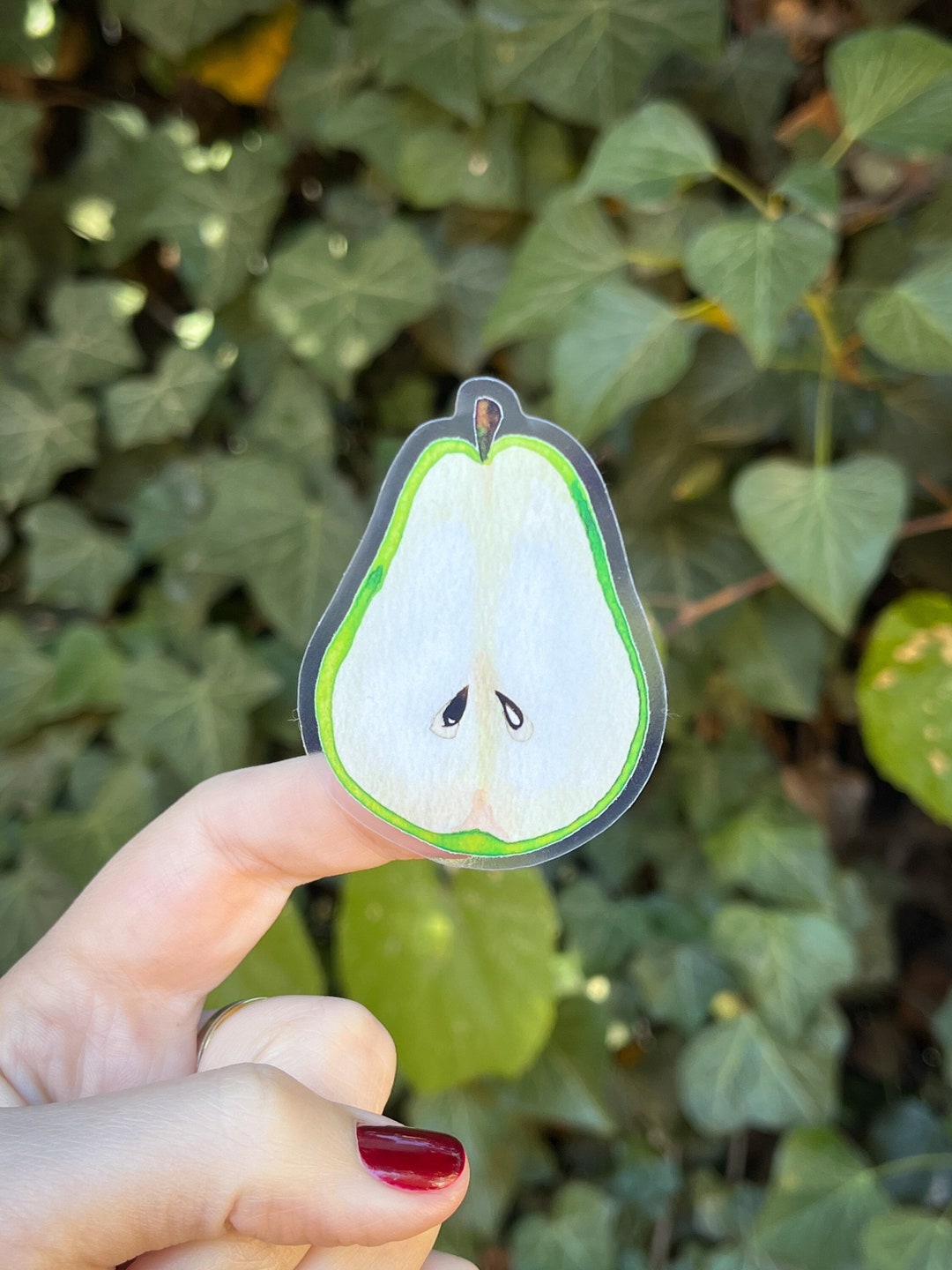 Small Pear Slice Watercolor Sticker Fruit Garden Cute Vinyl Decal for ...