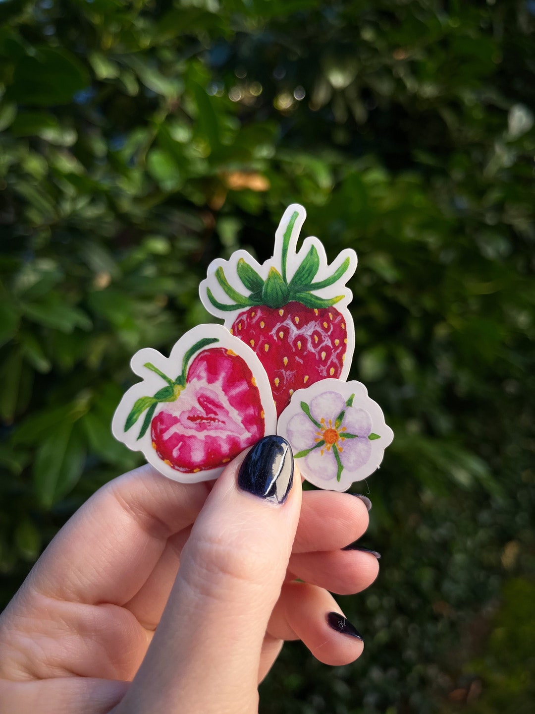 Small Strawberry Sticker Pack Watercolor Floral Cottagecore Clear Vinyl ...