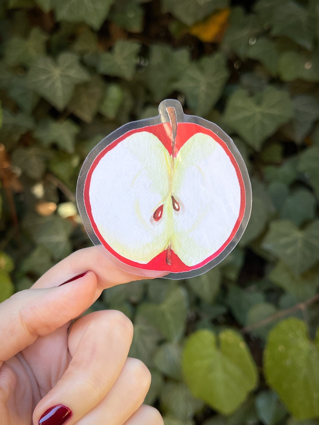 Apple Slice Watercolor Sticker Fruit Orchard Garden Cute Vinyl Decal ...