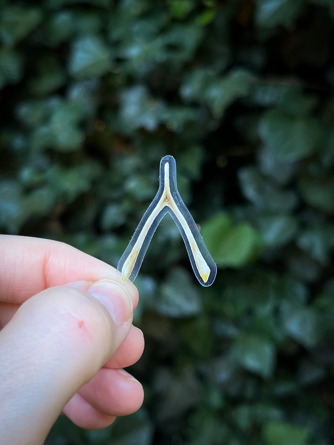 Mini Wishbone Sticker Lucky Watercolor Decal Clear Vinyl - Etsy