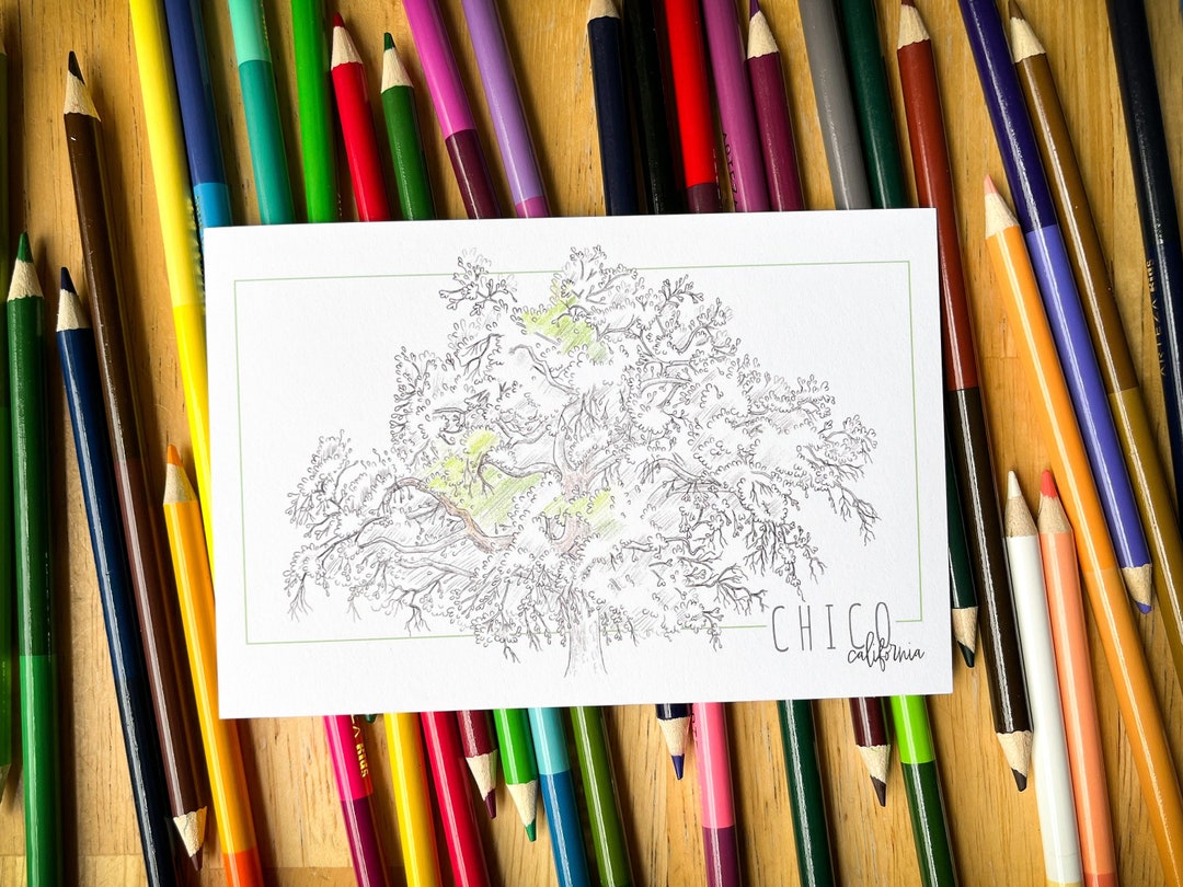 SINGLE Color-it-yourself California Postcards Chico California Valley ...