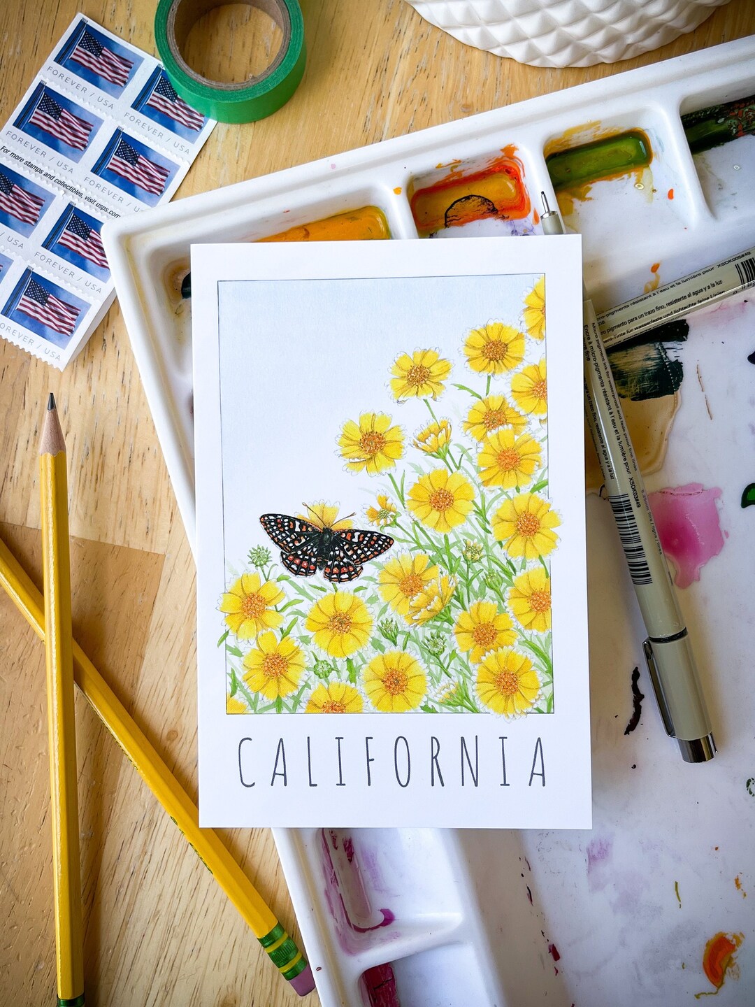 California Postcards Bay Checkerspot Butterfly, Coastal Tidy Tip ...