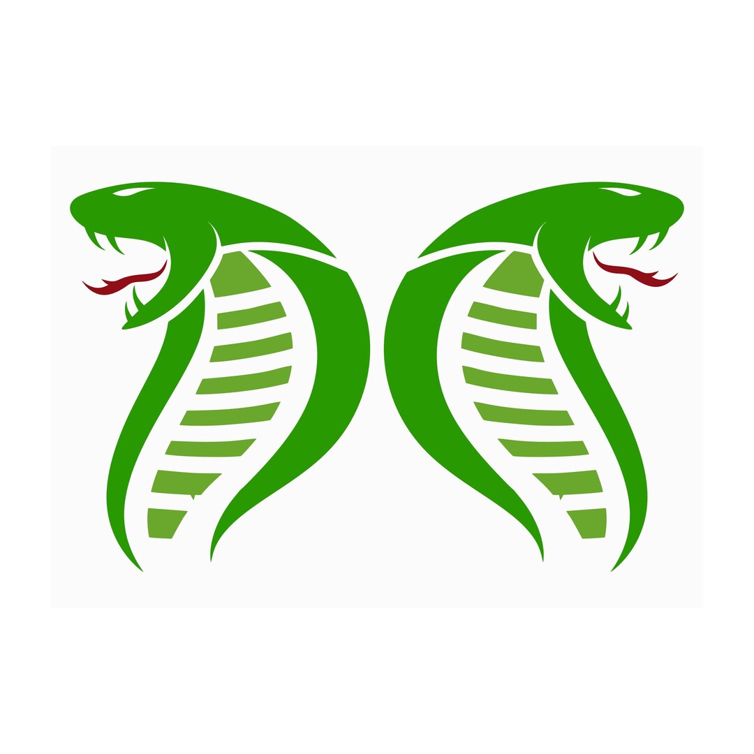 Mirrored Cobra Vinyl Decal Set: Car, Laptop, Window Decor - Etsy