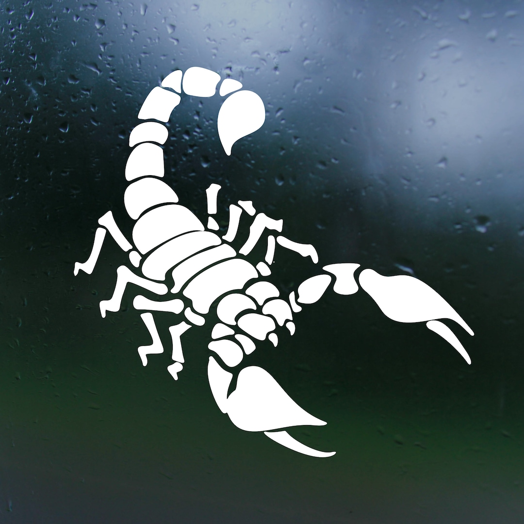 Scorpion Vinyl Decal Car Decal, Truck Decal. Laptop Decal, Bumper ...