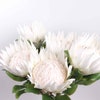 Native Protea Banksia Bouquet 70cmh X 40cmw | Hand-tied Native Flower ...
