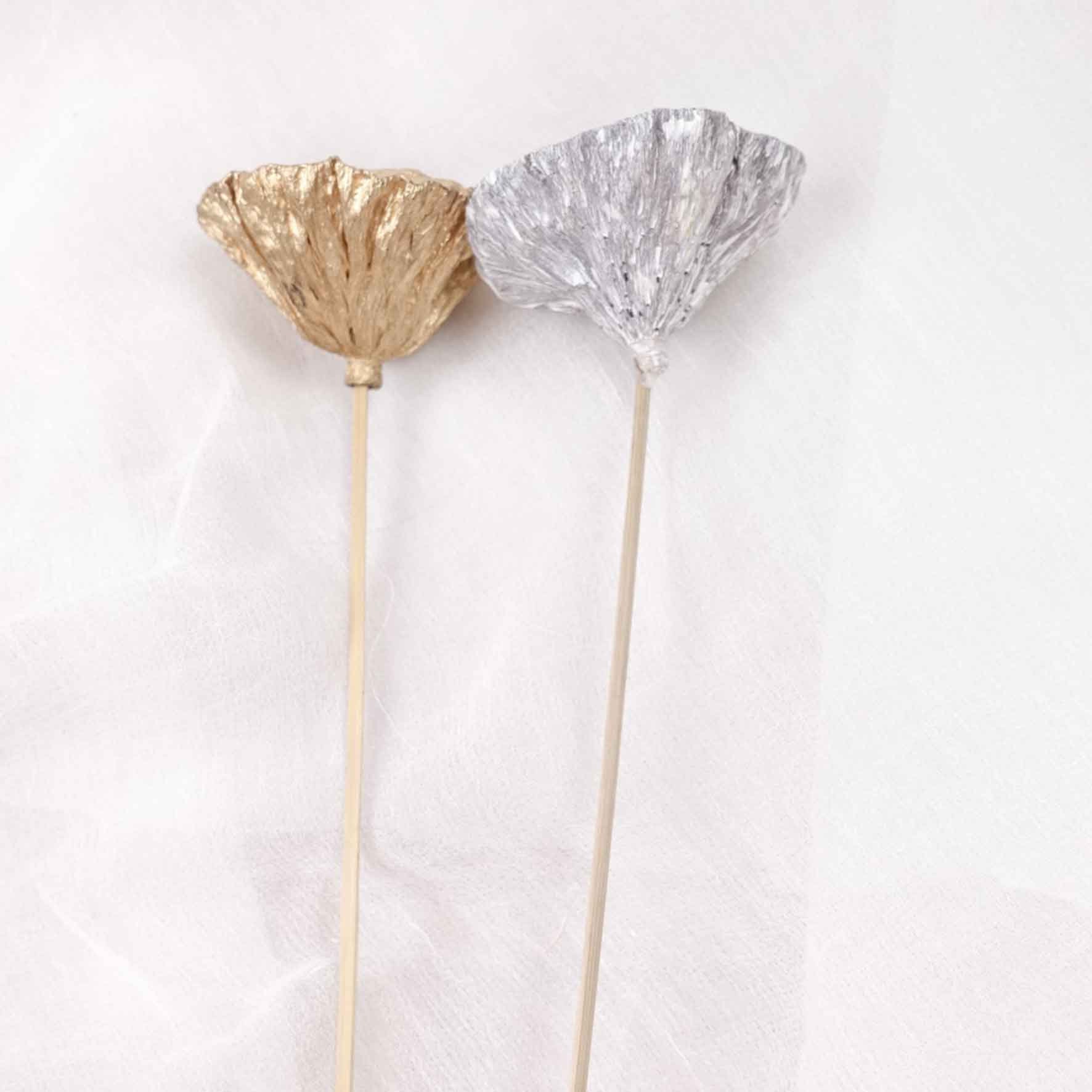 1pcs Dried Lotus Pod Stem Natural Lotus Dried Flowers - Etsy