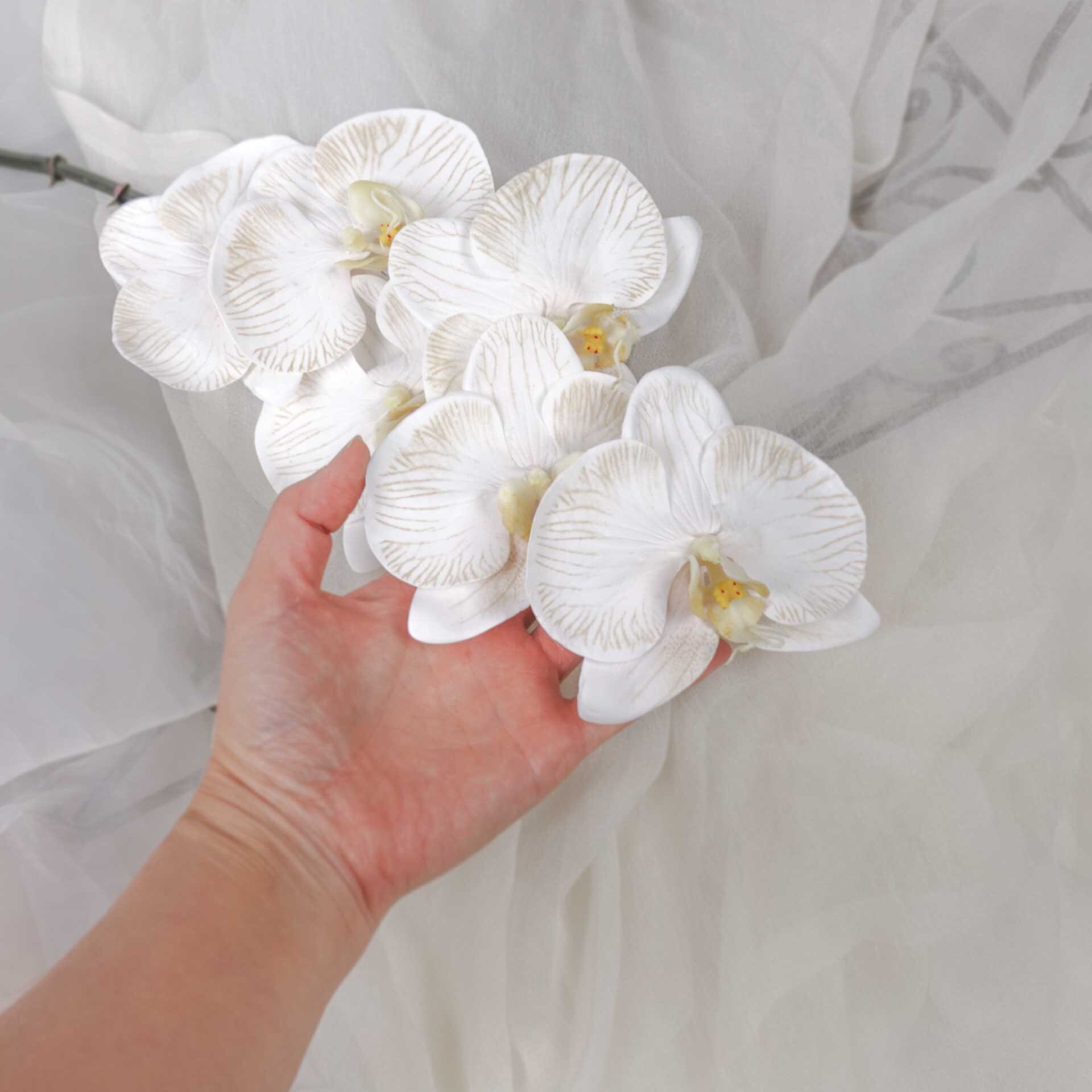 6 Heads Real-touch Orchid in Cream Beige 85cmh Artificial - Etsy