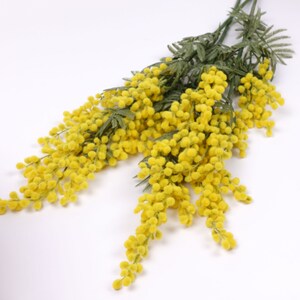 Wattle Spray, Mimosa Spray 85cmh | Australian Native Artificial Flowers ...