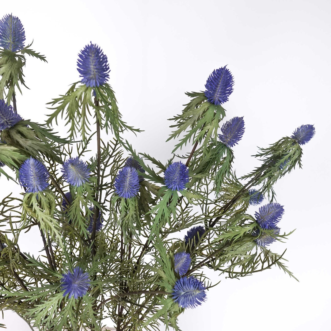 6 Heads Sea Holly Long Spray 80cmh in Blue | Australian Native Flowers ...