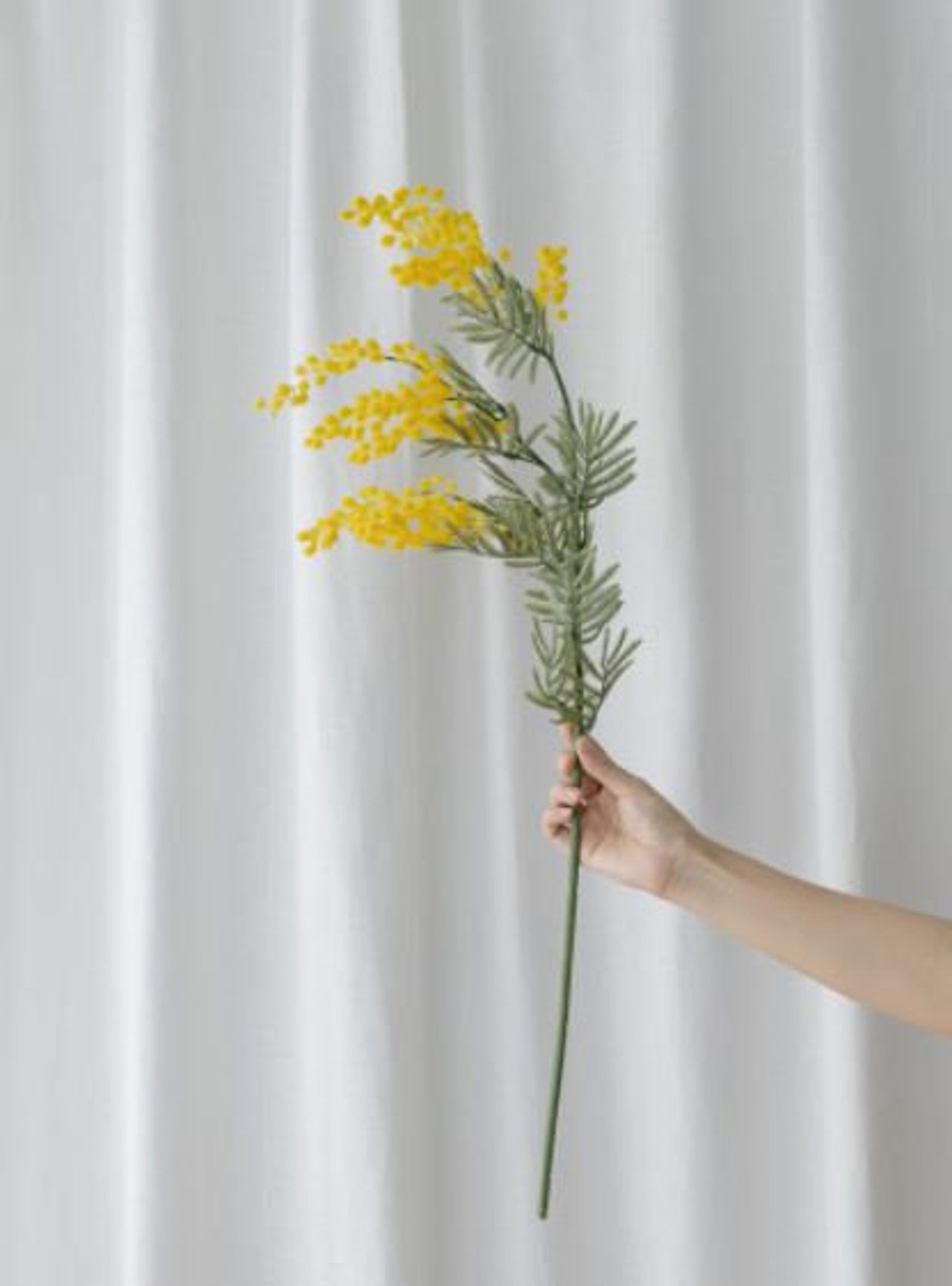 Wattle Spray, Mimosa Spray 85cmh | Australian Native Artificial Flowers ...