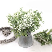 MEGA Bundle Plant Study, Plant Life Cycle, Parts of a Plant, Parts of a ...