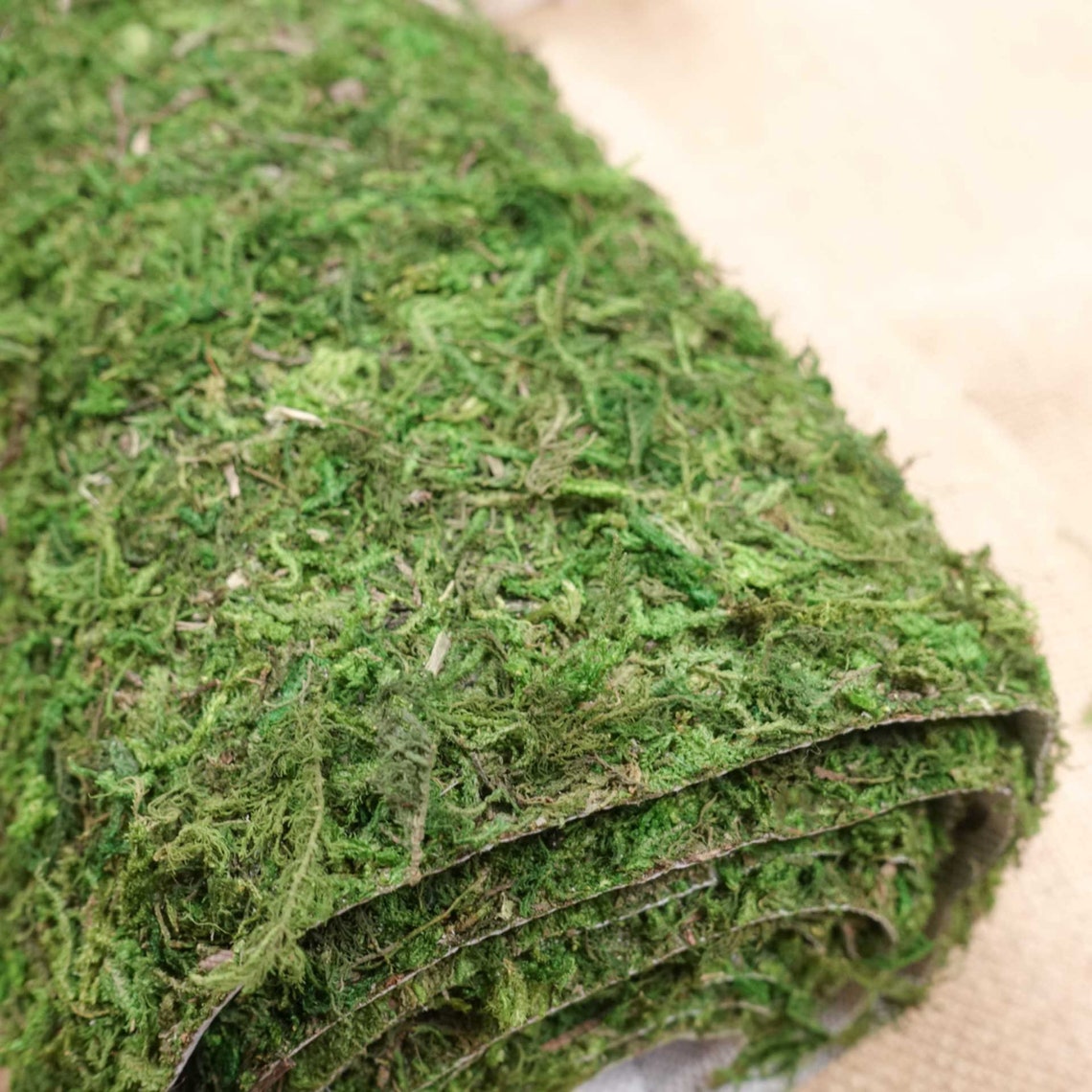 Moss Grass Roll 30cm X 200cm | Artificial Moss Ribbon | DIY Flower ...