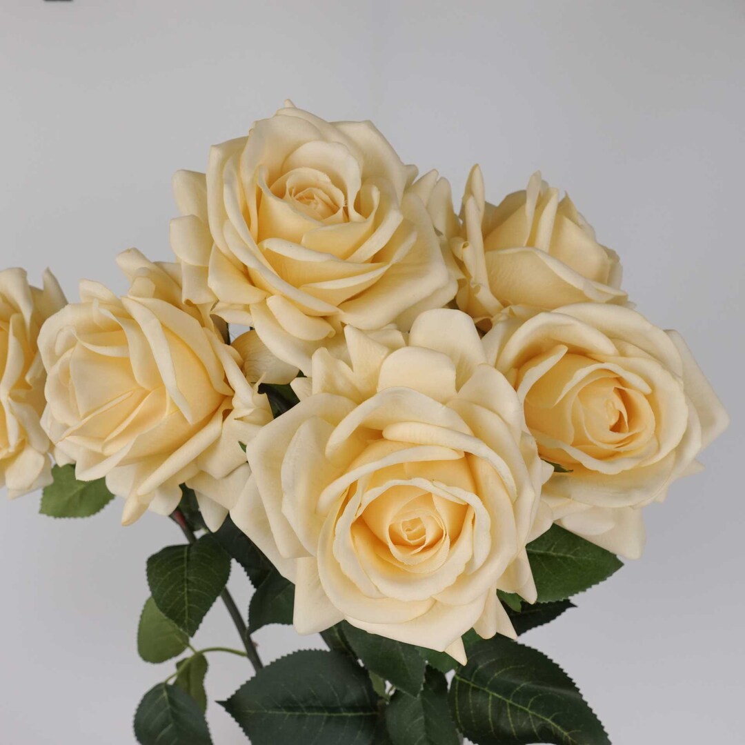 Real Touch Big Head Garden Rose Stem in Pale Yellow(type1) 75cmh ...