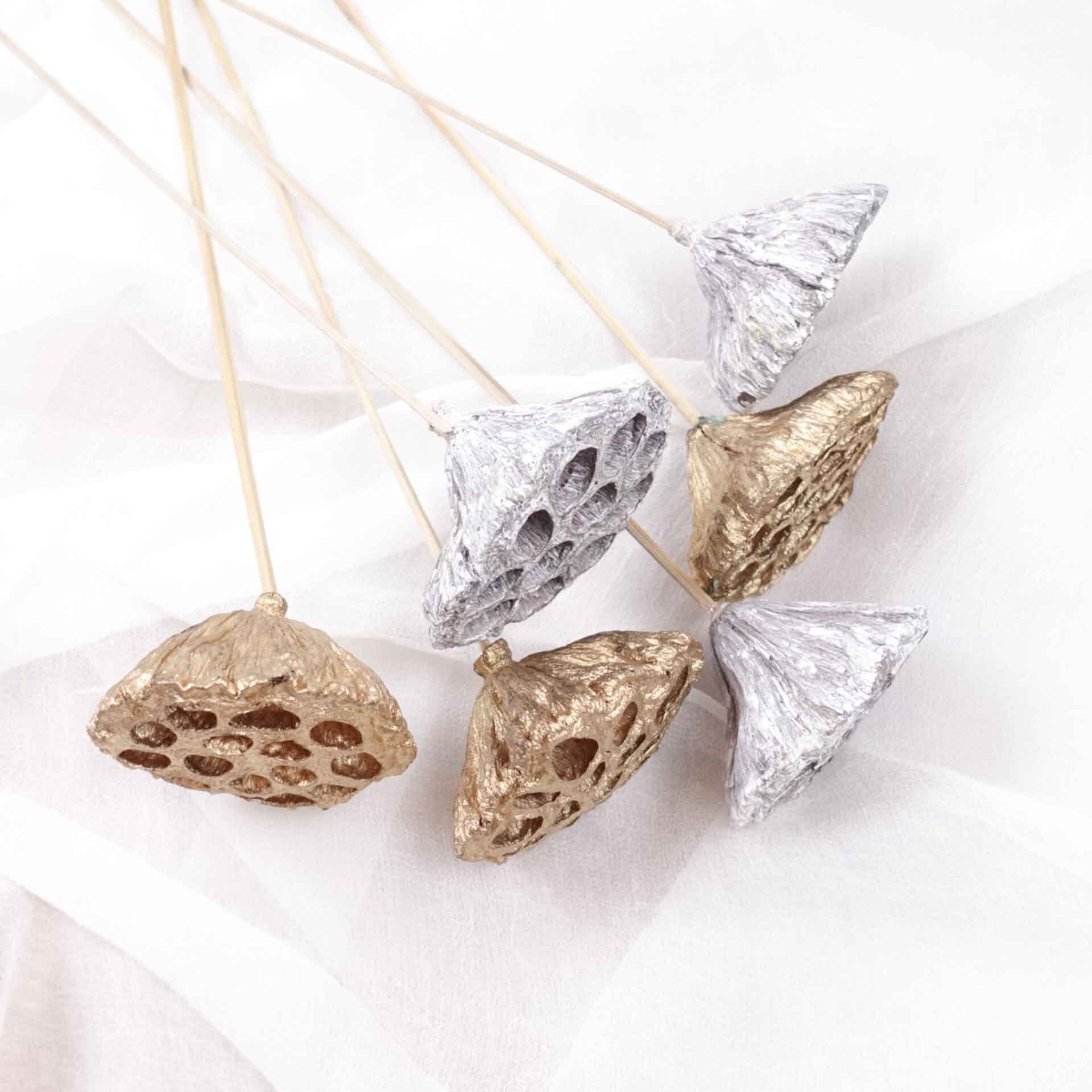 1pcs Dried Lotus Pod Stem Natural Lotus Dried Flowers - Etsy
