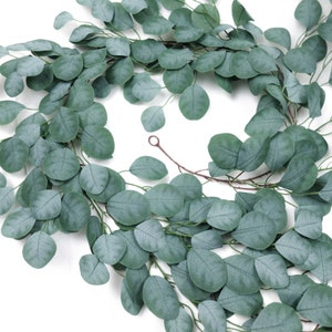Native Eucalyptus Garland 186cmh Artificial Greenery Hanging Vine ...