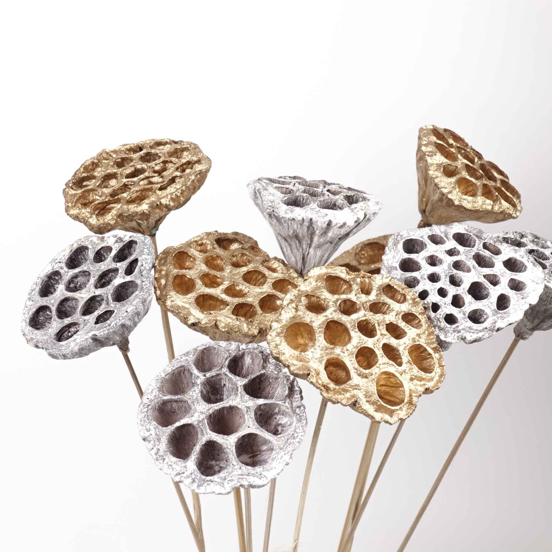 1pcs Dried Lotus Pod Stem Natural Lotus Dried Flowers | Etsy