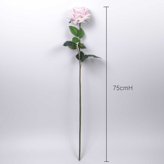 Single Pink Rose Stem