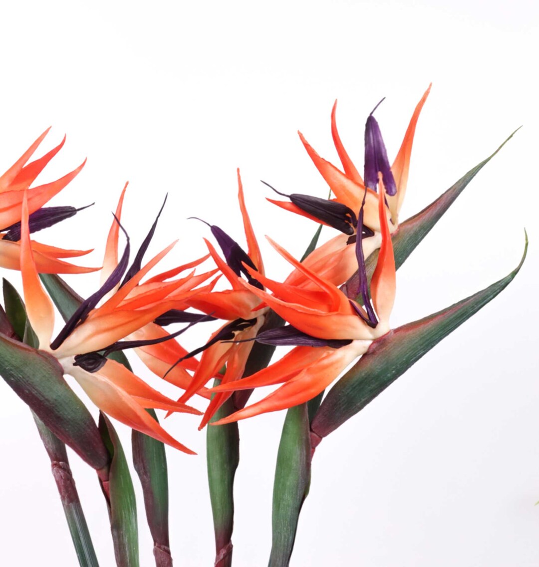 Real-touch Bird of Paradise 85cmh | Artificial Flowers | Tropical ...