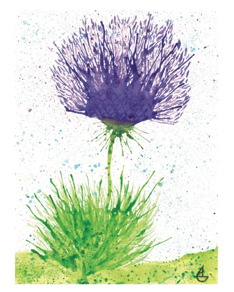 Thistle Watercolor Painting Art Print - Etsy