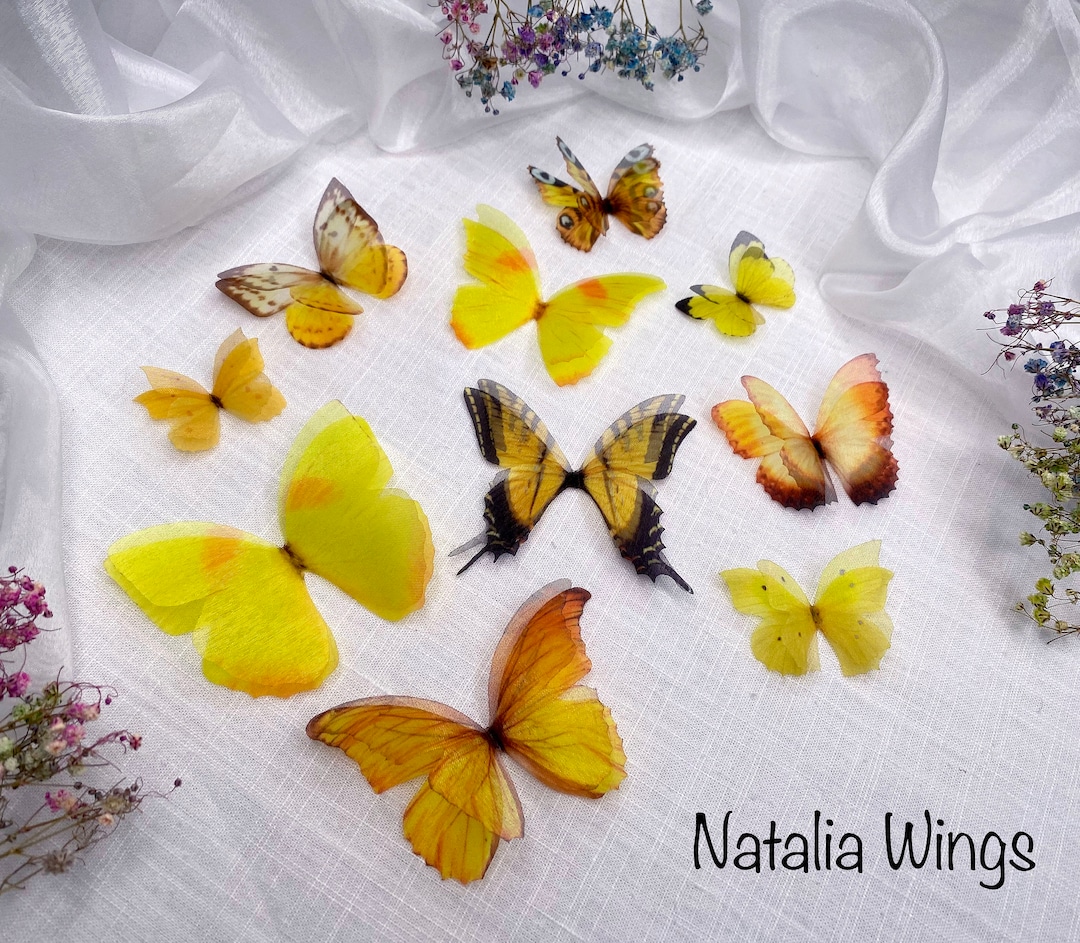 Set of 10 Silk Butterflies "honey Meadow", Natalia Wings, Butterfly ...