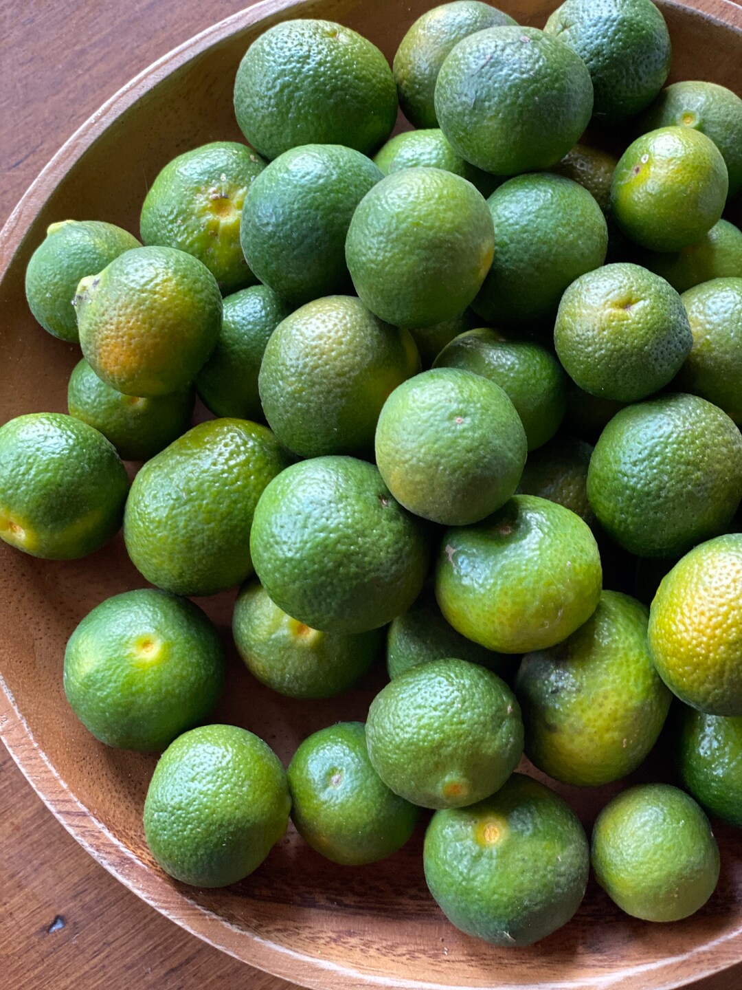 Fresh Okinawan Shikuwasa - Half-pound Naturally Grown on a Small Farm ...