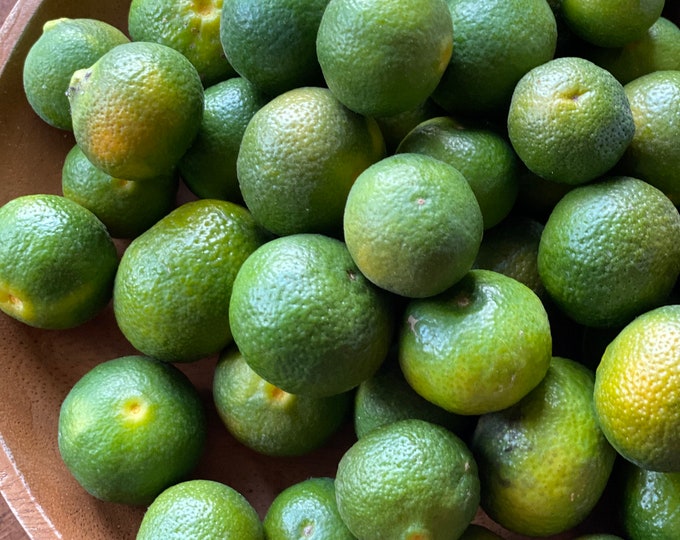 Fresh Okinawan Shikuwasa - Half-pound Naturally Grown on a Small Farm ...