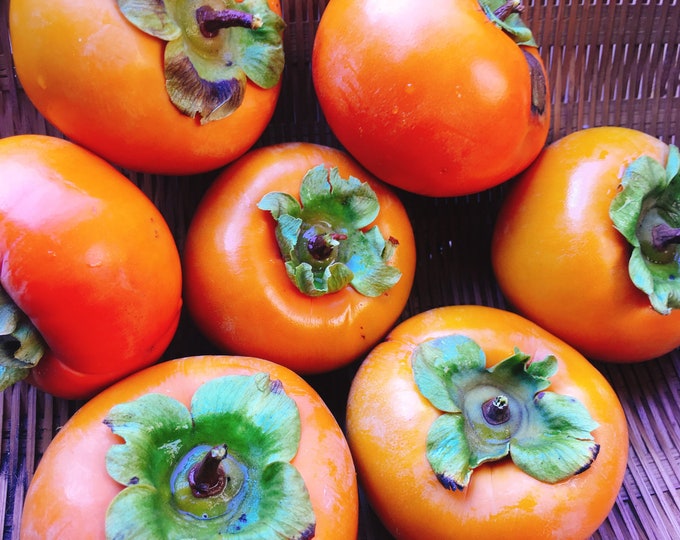 Fresh Fuyu Persimmons 4lbs - Naturally Grown & Freshly Picked as You ...