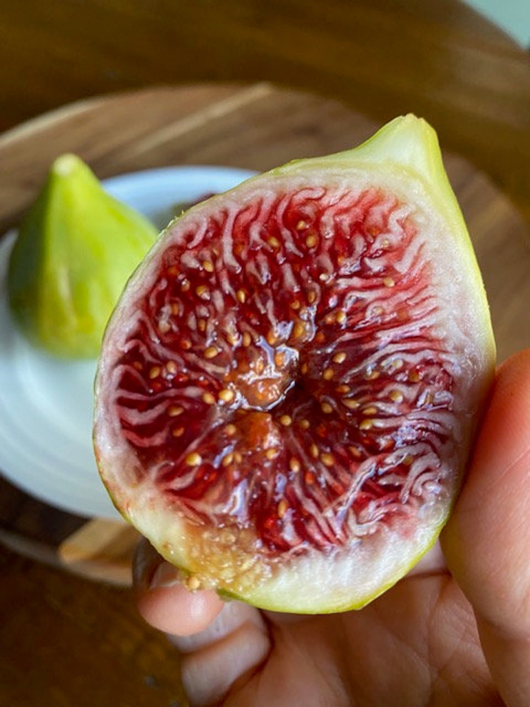 Strawberry Verte Fig : 4 Cuttings "free Priority Shipping!" - Etsy