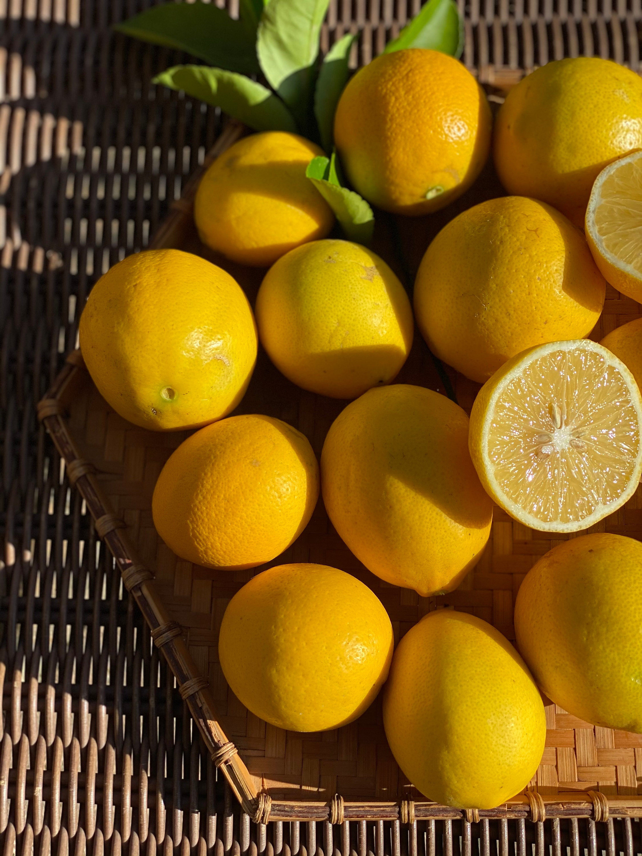Fresh Meyer Lemons | Fresh Picked | 4lbs | Grown on a Small Farm in ...