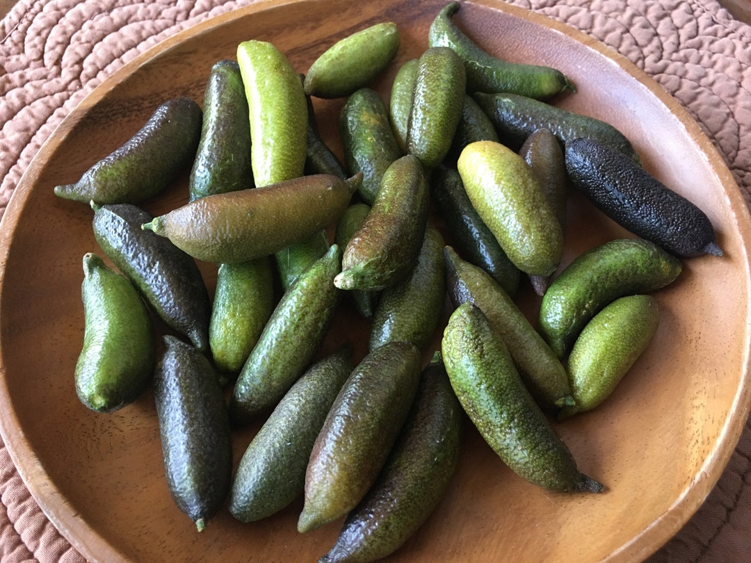 Fresh Naturally Grown Finger Limes - 12 Count *free Priority Shipping ...