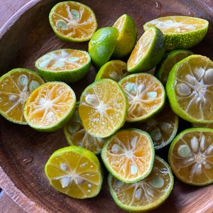 Fresh Okinawan Shikuwasa - Half-pound Naturally Grown on a Small Farm ...