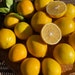 Fresh Meyer Lemons | Fresh Picked | 4lbs | Grown on a Small Farm in ...