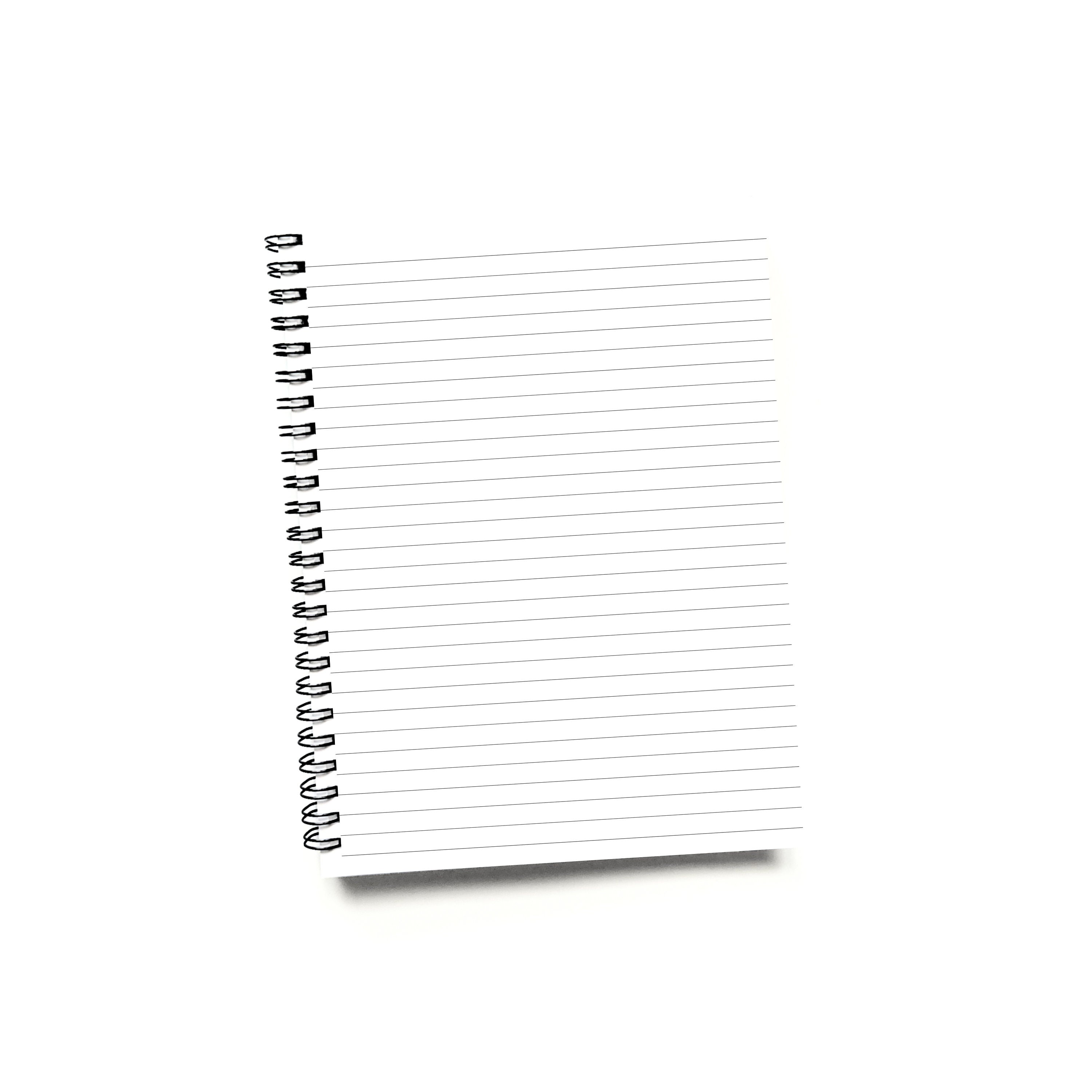 OT, Occupational Therapist Gift Idea, Lined Notebook for Men and Women ...