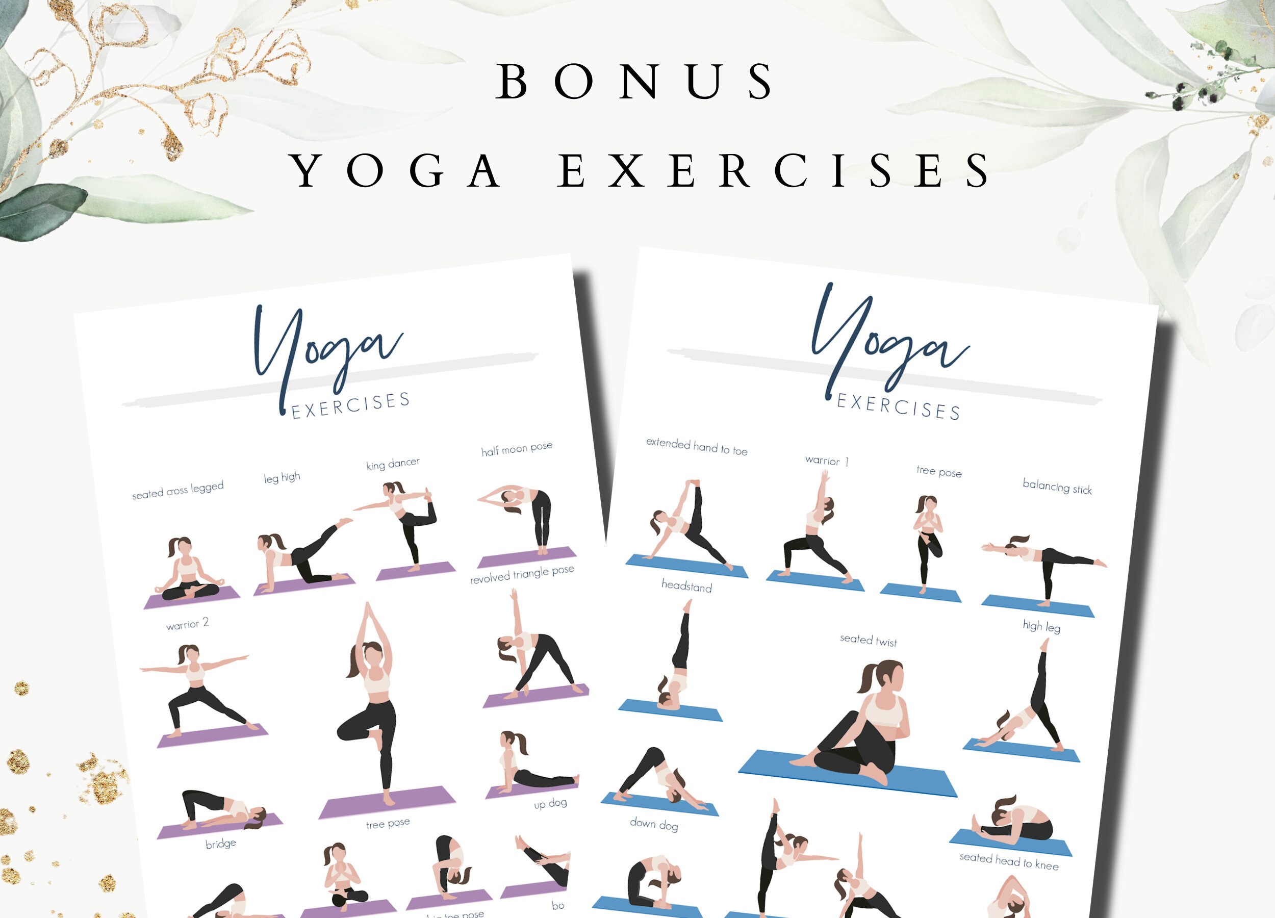 Ultimate Exercise and Fitness Bundle Body Shred Exercises - Etsy