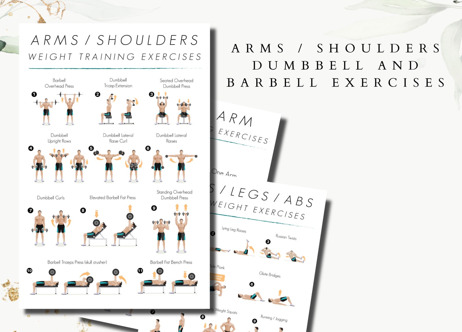 Male Weight Training Exercises, Barbell Exercises, Dumbbell Exercises ...