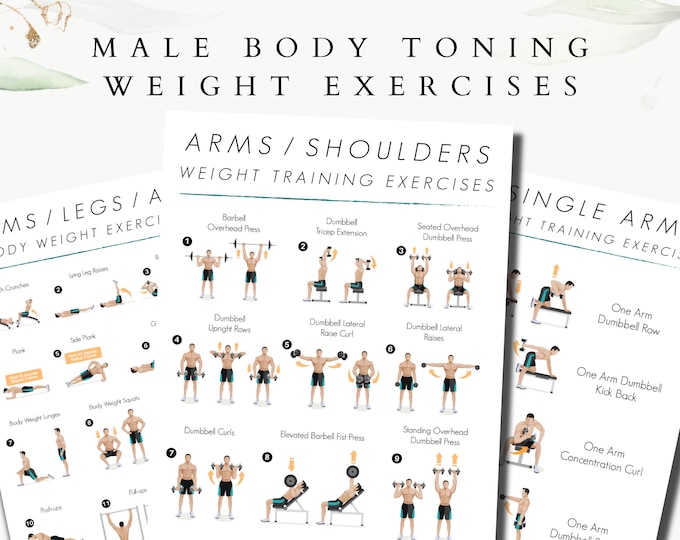 Fitness Gym Exercises Illustration, Men Workout Images, Transparent PNG ...