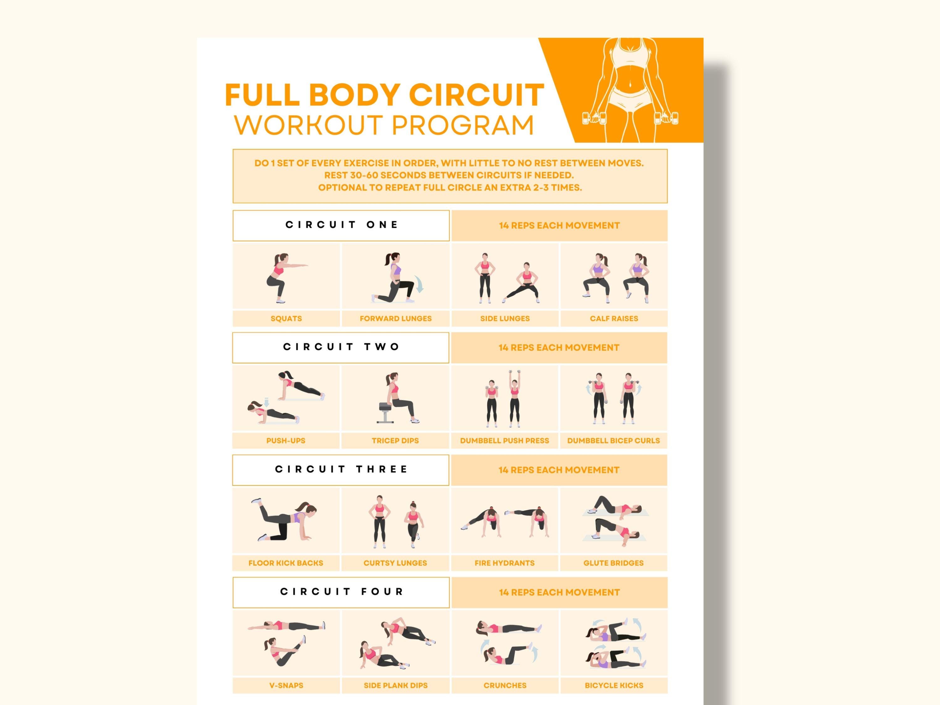 Full Body Circuit Workout Template | Printable Fitness Program ...