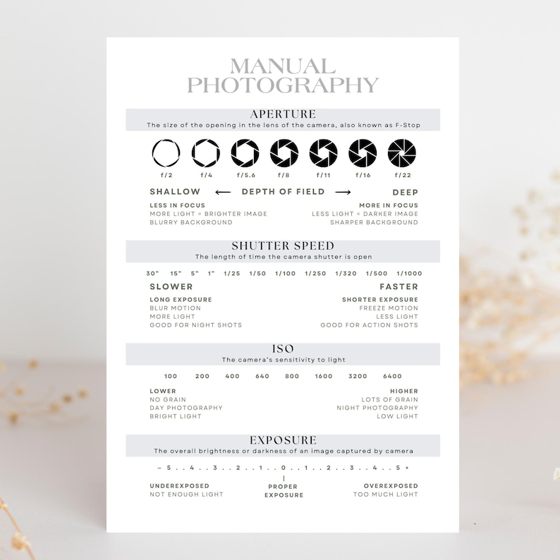 Photography Cheat Sheets, 6 Learner Guides, Manual Settings, ISO ...