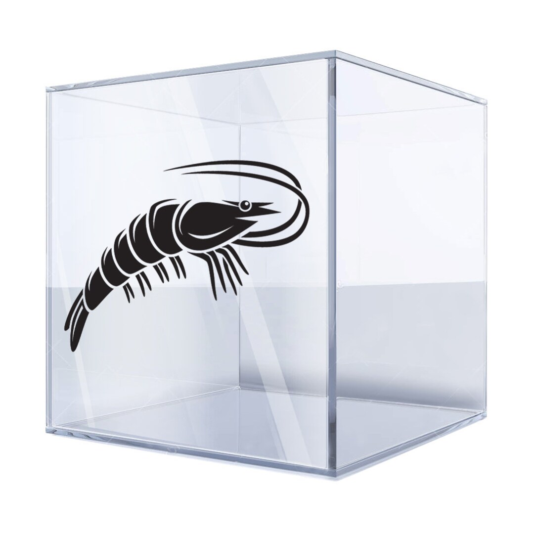 Decal Sticker Shrimp Restaurant Decoration Dinner Delicious Food Bar ...