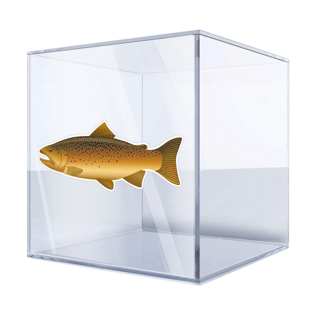 Decal Sticker Brown Trout Boat Decoration Bait the Hook Fishing Store ...