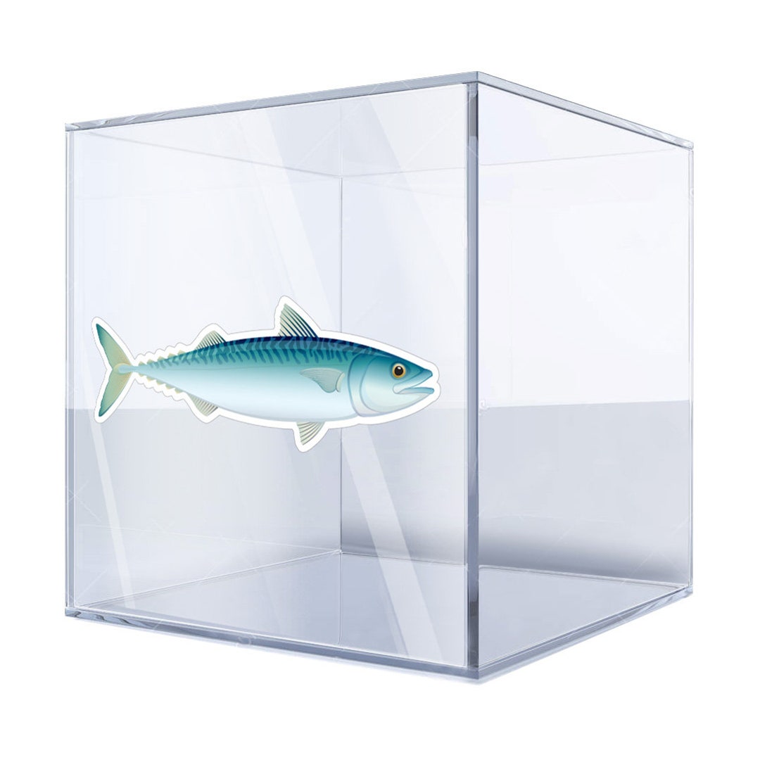 Atlantic Realistic Mackerel Fish Sticker – Detailed Fishing Decal for ...
