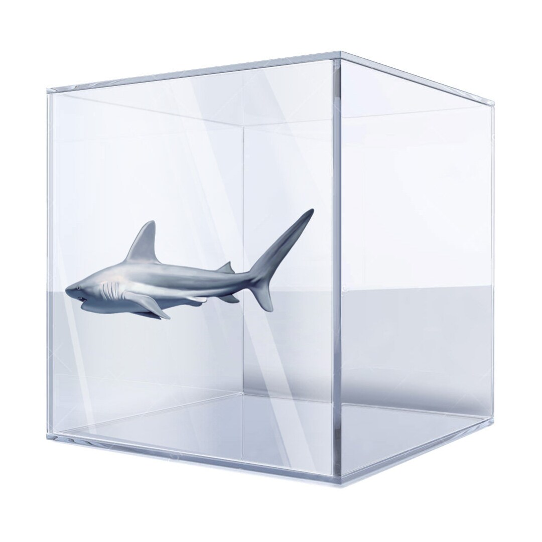 Realistic Shark Sticker – Ocean-inspired Vinyl Decal for Cars, Laptops ...