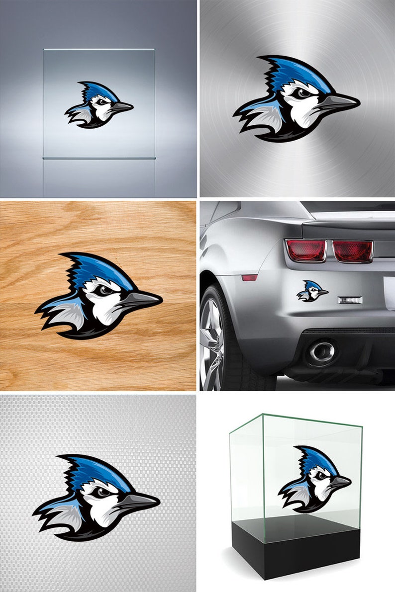 Decal Sticker Blue Jay Blue Jay Bird Wildlife Nature - Etsy