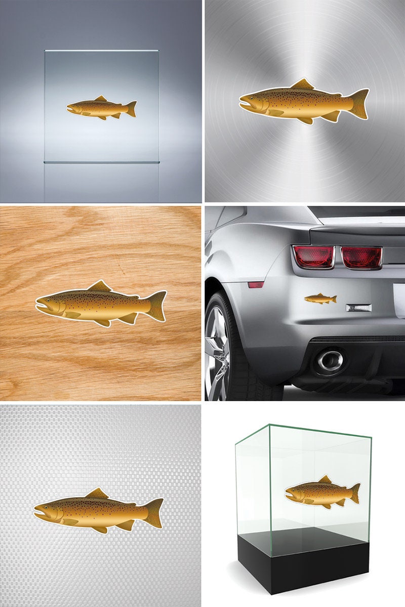 Decal Sticker Brown Trout Boat Decoration Bait the Hook Fishing Store ...
