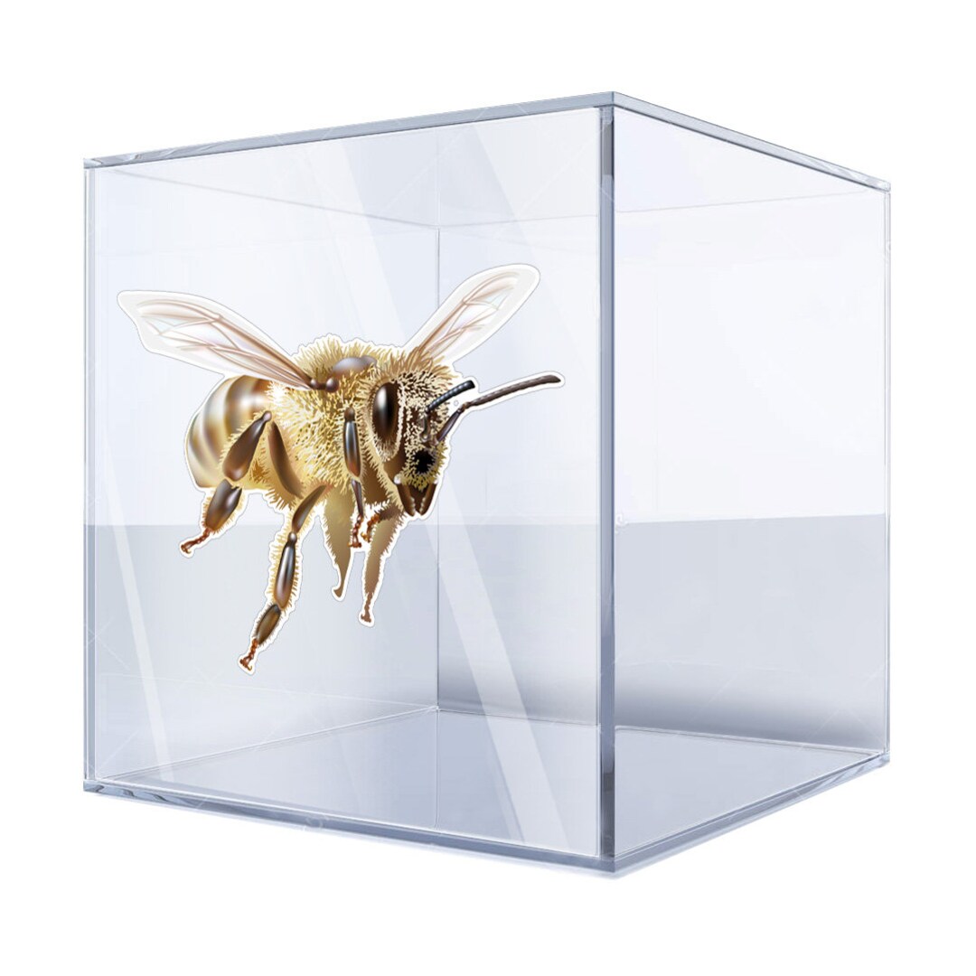 Realistic Honey Bee Sticker – Detailed Nature Honey Decal for Laptops ...