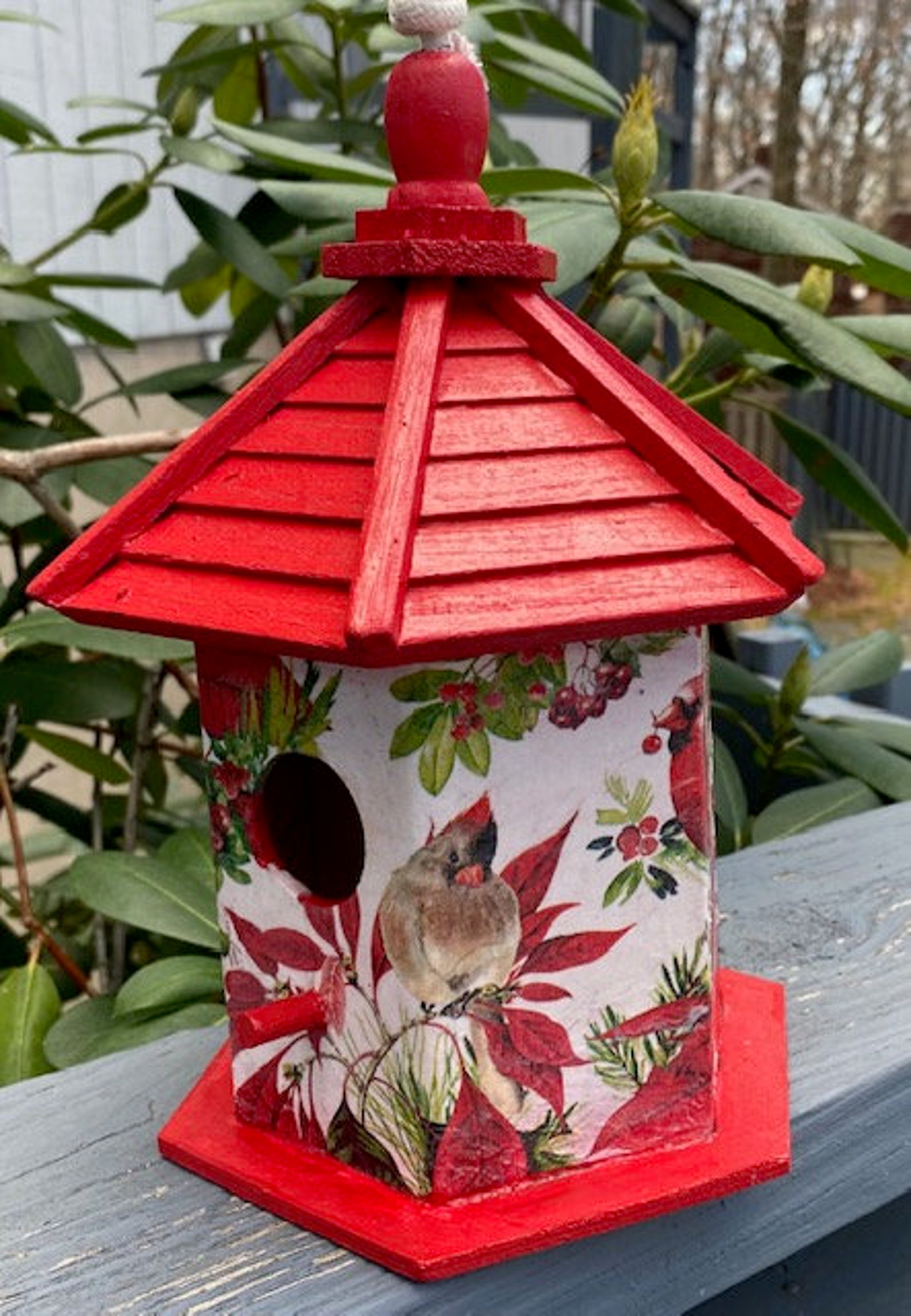 Winter Cardinal Birdhouse Handcrafted Birdhouse Cardinal - Etsy